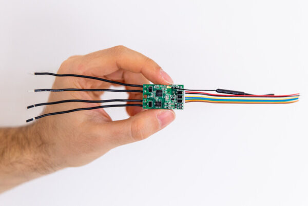 Shelly Uni – Shelly Jordan